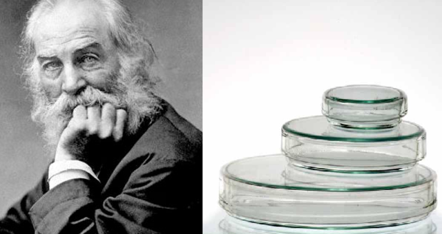 HISTORIA DE LA MICROBIOLOGÍA timeline | Timetoast timelines