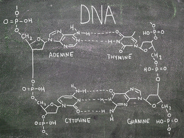 Scientists of DNA timeline | Timetoast timelines