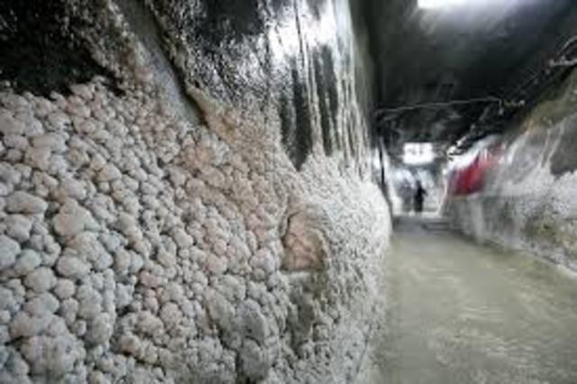 African Empire - Iman Siddiqui timeline | Timetoast timelines