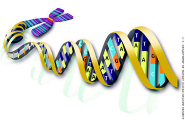 Scientist of DNA timeline | Timetoast timelines