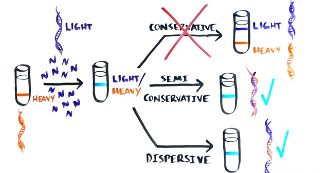 DNA History Timeline | Timetoast timelines
