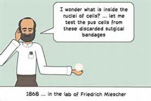 DNA Scientists timeline | Timetoast timelines
