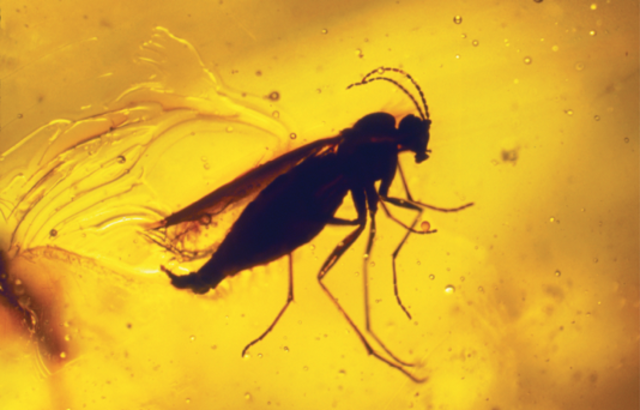 The Origin of Earth's Existence-- 4.568 billion years ago timeline ...