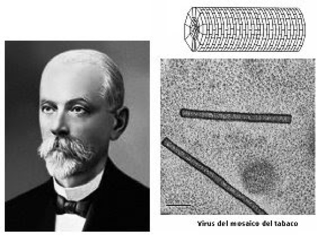 Historia de la Microbiología timeline | Timetoast timelines