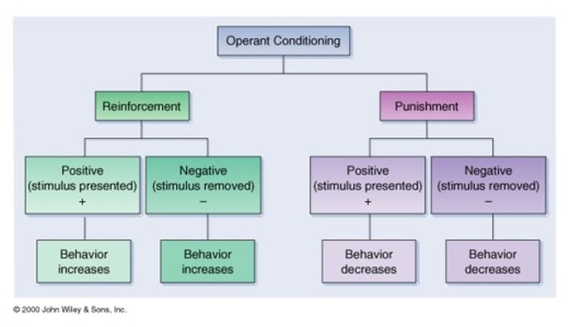 Early Childhood History timeline | Timetoast timelines