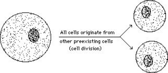 The Cell Theory Timeline | Timetoast timelines