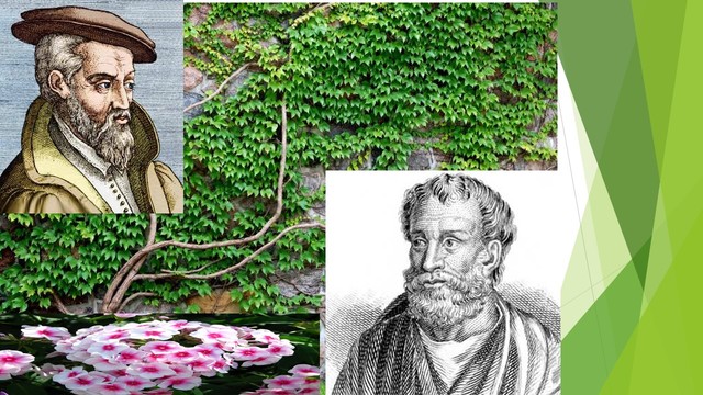 HISTORIA DE LA BIOLOGIA timeline | Timetoast timelines