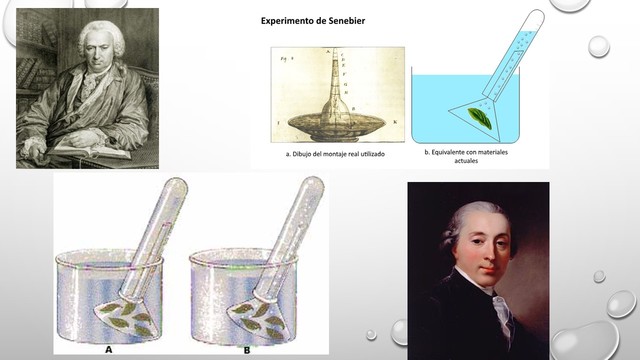 HISTORIA DE LA BIOLOGIA timeline | Timetoast timelines