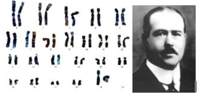 HISTORIA DE LA BIOLOGÍA, EN LA ACTUALIDAD timeline | Timetoast timelines