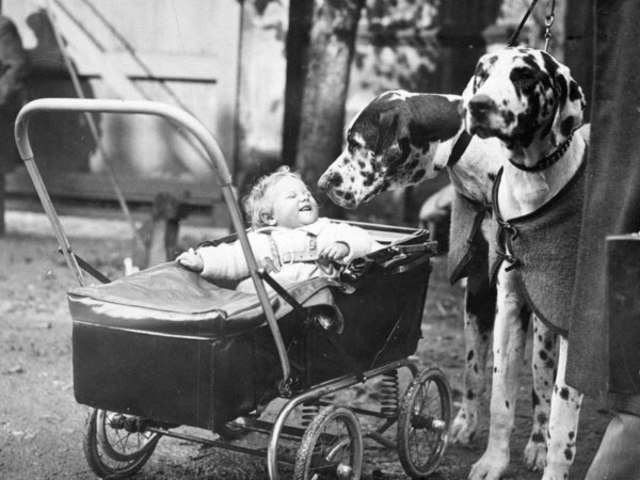 Evolution of Baby Strollers timeline | Timetoast timelines