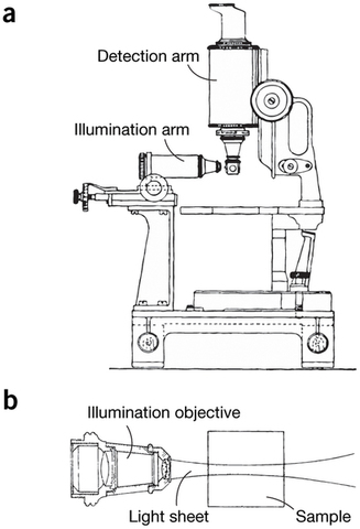 Bio 11) The History of Microscopes timeline | Timetoast timelines