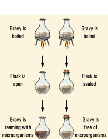 The History of Spontaneous Generation timeline | Timetoast timelines