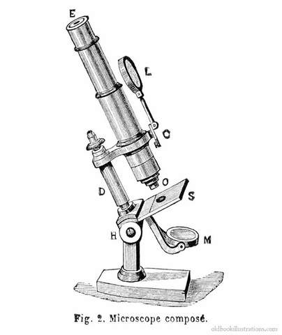 Who Invented Compound Light Microscope
