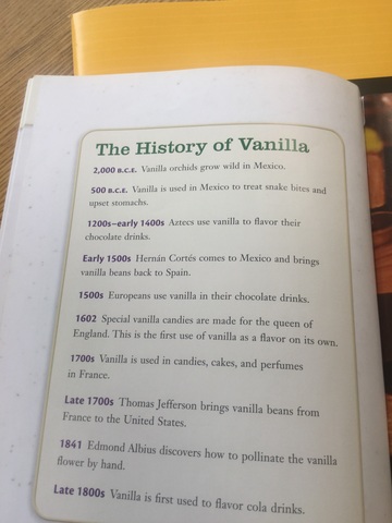 The story of vanilla timeline | Timetoast timelines