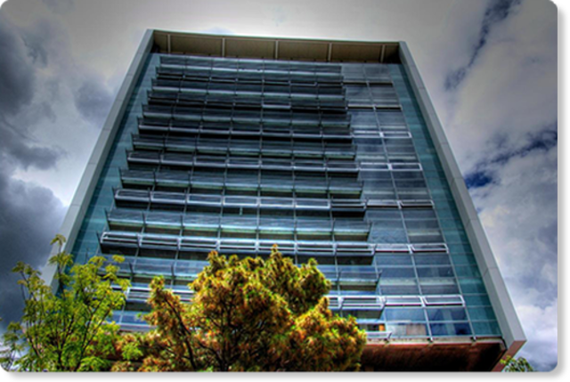 Linea del tiempo UDG timeline | Timetoast timelines