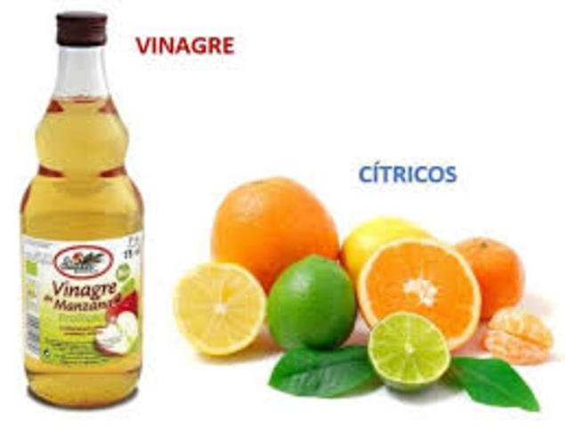 teorias de los acidos y bases timeline | Timetoast timelines