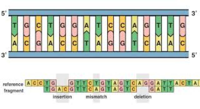 Historia del descubrimiento del ADN timeline | Timetoast timelines
