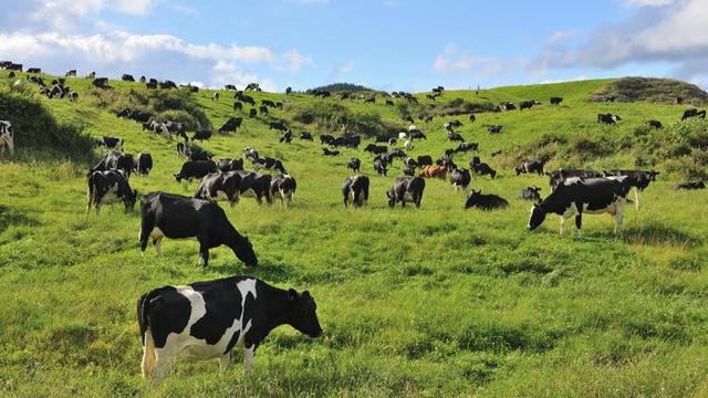 Natural Resource-Cattle timeline | Timetoast timelines
