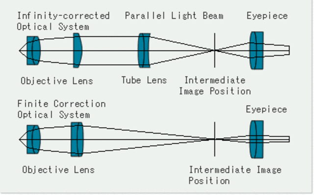 Development of the microscope timeline | Timetoast timelines
