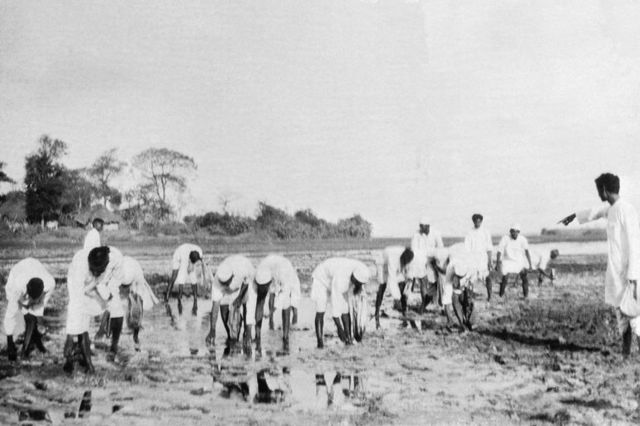 Mahatma "Great Soul" Gandhi timeline | Timetoast timelines