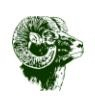 Roseau Rams Girls High School Hockey Club - Hockey Club in Roseau, MN ...