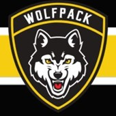 Michigan Technological University Wolfpack Men's ACHA Div II Hockey ...