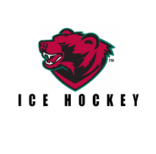 Washington University of Saint Louis (WashU) Bears Men's ACHA Div III ...