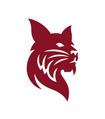 Bates College Bobcats Men's ACHA Div III Hockey Club - Hockey Club in ...