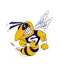 Saline High School Hockey - Hockey Club in Saline, MI - Travel Sports