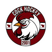 University of South Carolina Gamecocks Men's AAU Div I Hockey - Hockey ...