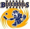 Warren Blue Devils High School Girls Hockey - Hockey Club in Gurnee, IL ...