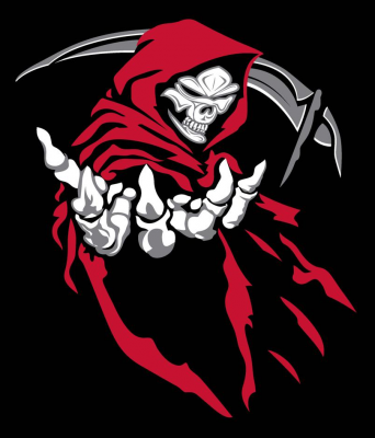 Reapers Hockey Association - Hockey Club in Mount Prospect, IL - Travel ...