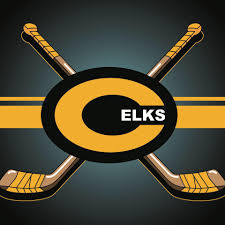 Centerville Elks High School Hockey - Hockey Club in Centerville, OH ...