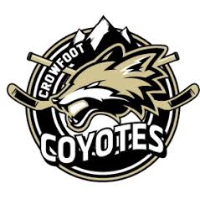 Crowfoot Coyotes - Hockey Club in Calgary, AB, Canada - Travel Sports