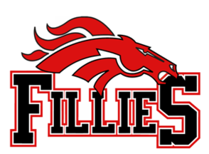 Barrington Fillies Girls High School Hockey - Hockey Club in Barrington ...
