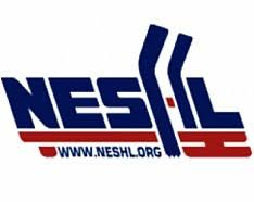 Northeast Sled Hockey League (NESHL) - Manchester (NH) Area Hockey ...