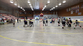 The Ice House Sports Complex - Ice Rink in Binghamton, NY - Travel Sports