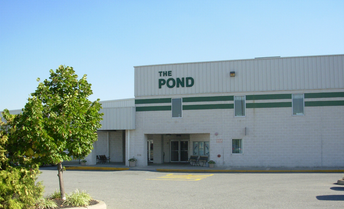 The Pond - Ice Rink in Chagrin Falls, OH - Travel Sports