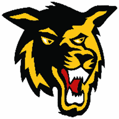 Golden Wolves Hockey Club South Florida Golden Wolves Sunshine Showdown ...