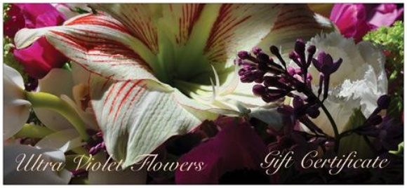 Gift Certificate — Ultra Violet Flowers