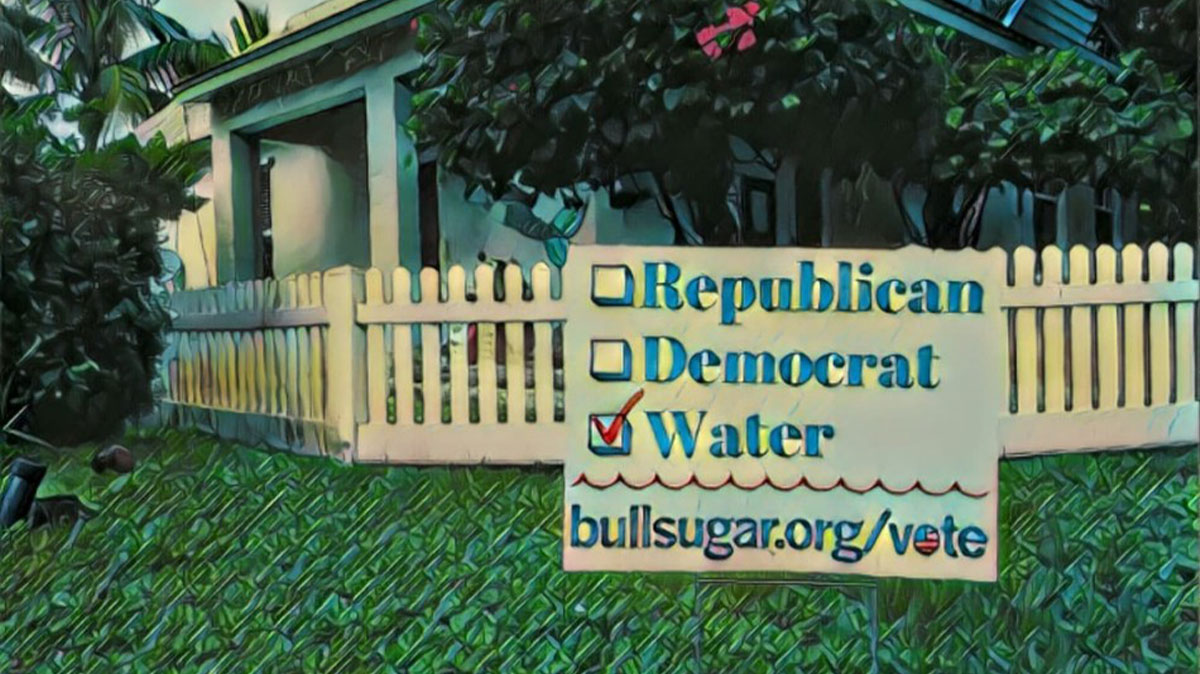"Voting Water" Still Matters in 2020 - VoteWater.org