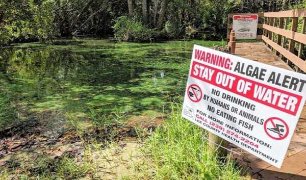 Florida Water Quality - VoteWater.org
