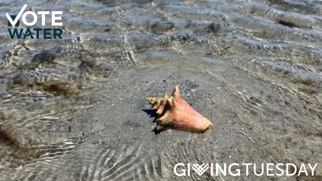 News - VoteWater.org