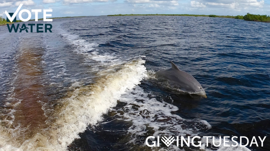 News - VoteWater.org