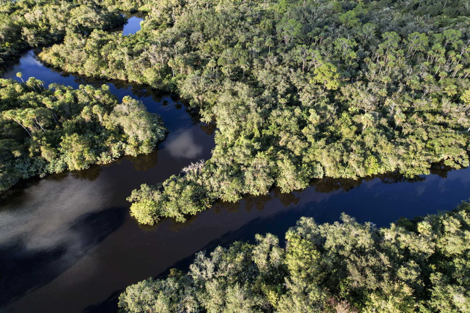 News - VoteWater.org