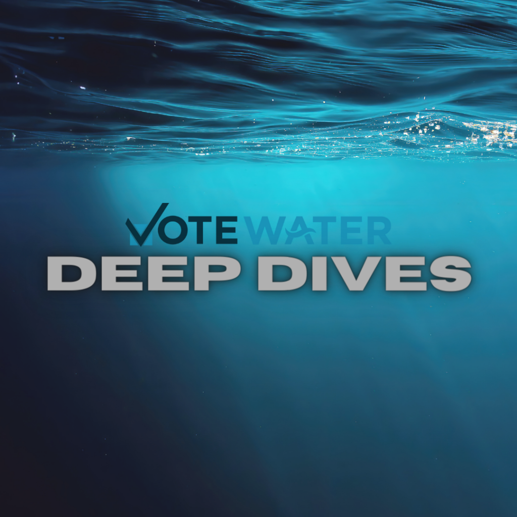 Here’s where VoteWater made an impact in 2022 - thanks to your support ...