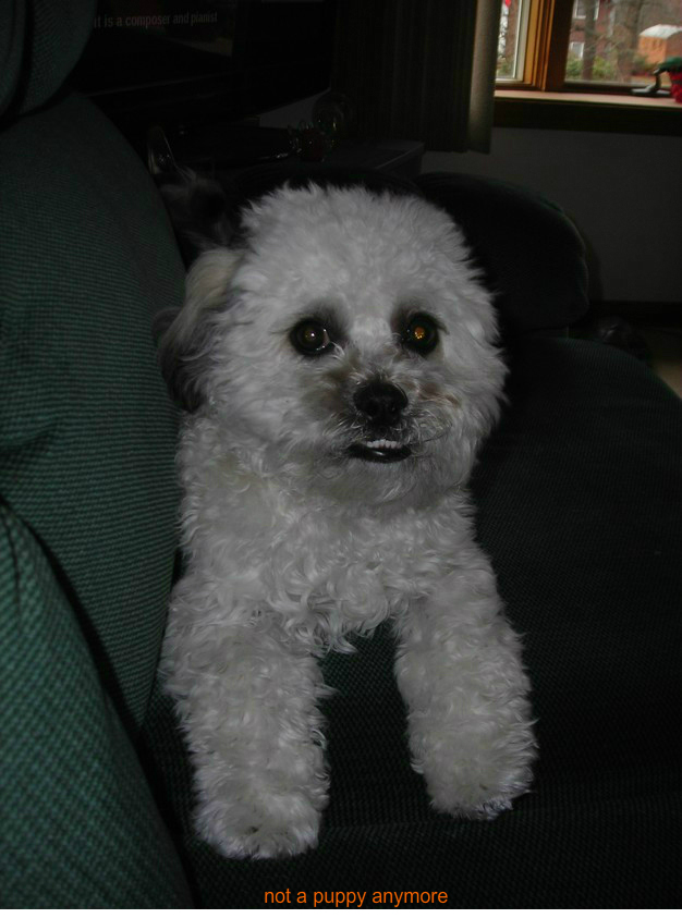 Diane Charest (Mendoza), Fall River, MA Massachusetts currently in ...