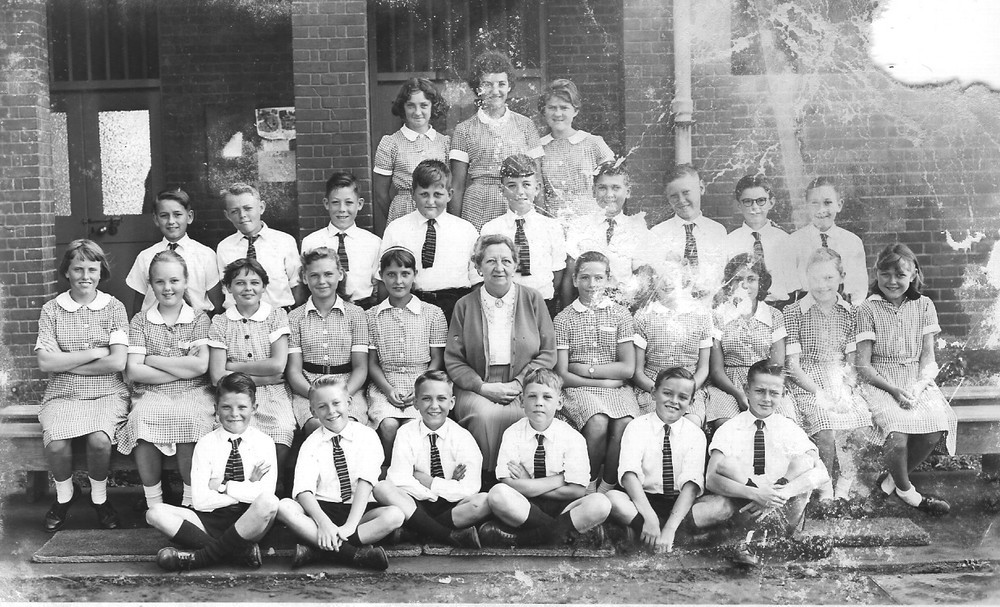 Primary school & groups