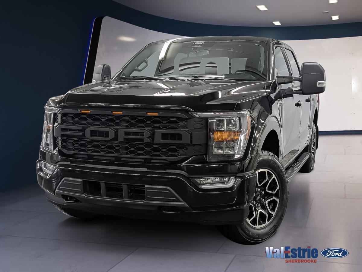 Used 2022 Ford F-150 with 60,851 km for sale at Otogo