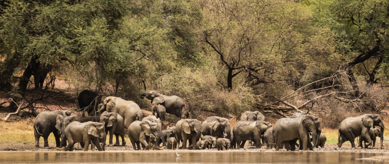 Chad 2019 - Central African Savannah and Wonders of the Sahara - Chad ...